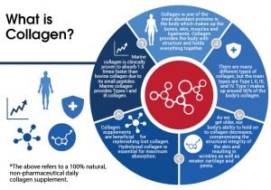 How To Find A High-Quality Effective Collagen Powder
